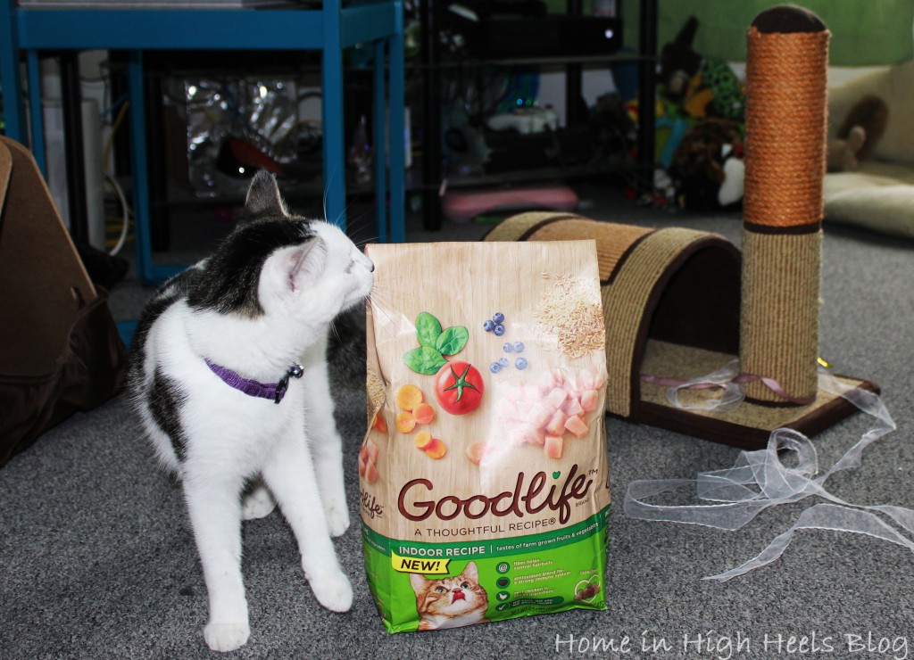 Get in the GOODLIFE™ Brand Spirit with my Fur Babies! - Home In High Heels
